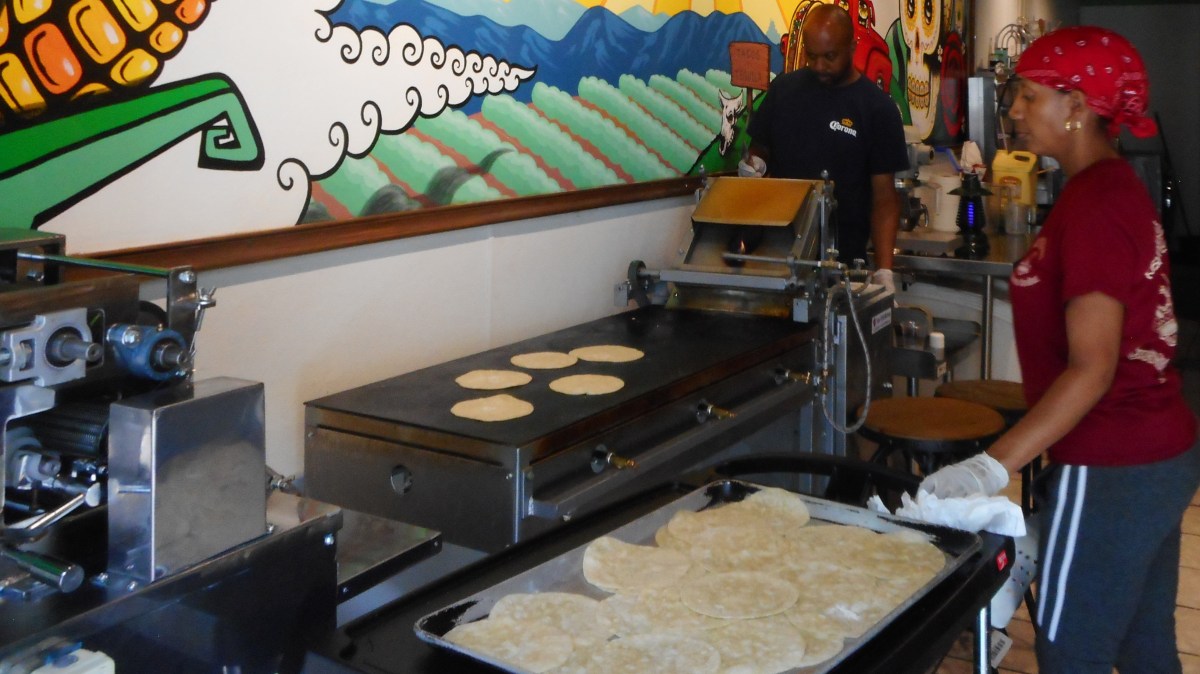 Tortilla Factory – Greengos Caribbean Cantina